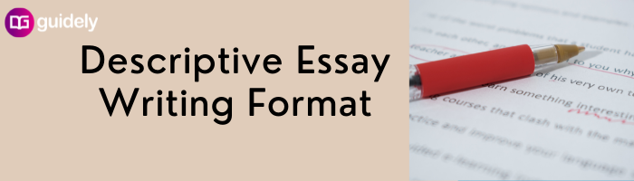 Descriptive Essay Writing for IBPS PO Mains 2025: Format
