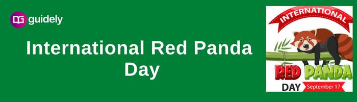 International Red Panda Day 2024: September 21 - History, Theme ...