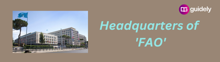 Fao Headquarters Address Rome Azerbaijani Room” Opened At FAO