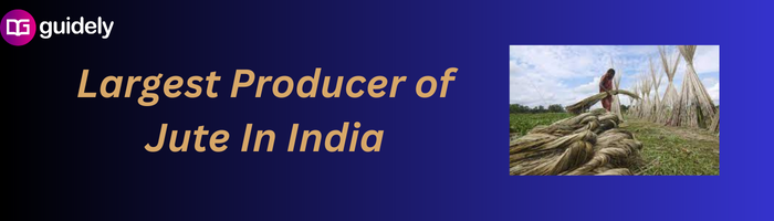 Which State Is The Largest Producer of Jute In India?