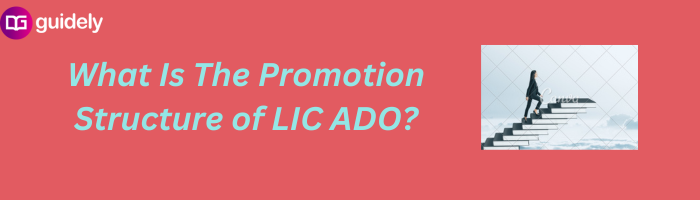 What Is The Promotion Structure of LIC ADO?