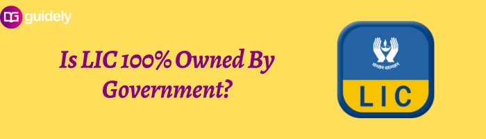 Is LIC 100% Owned By Government?