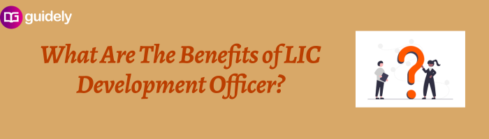 What Are The Benefits of LIC Development Officer?
