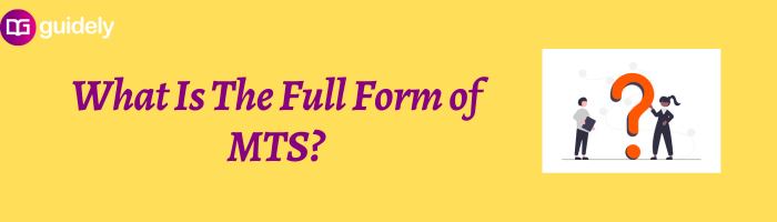 What Is The Full Form of MTS?