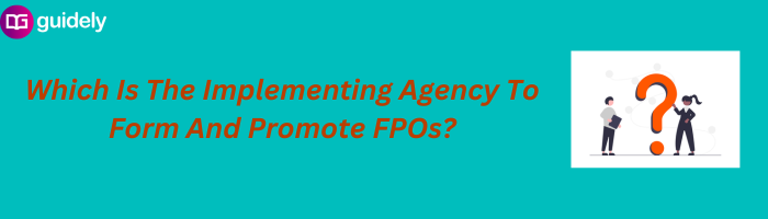 Which Is The Implementing Agency To Form And Promote FPOs?