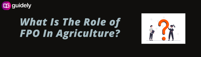 What Is The Role of FPO In Agriculture?