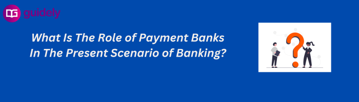 What Is The Role of Payment Banks In The Present Scenario of Banking?