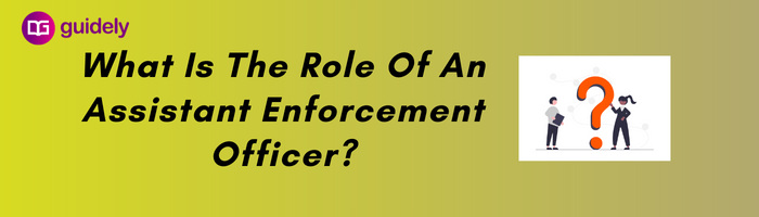 What Is The Role Of An Assistant Enforcement Officer?