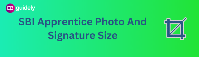 SBI Apprentice Photo And Signature Size 2023: File Dimension