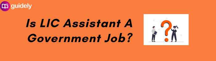 Is LIC Assistant A Government Job?