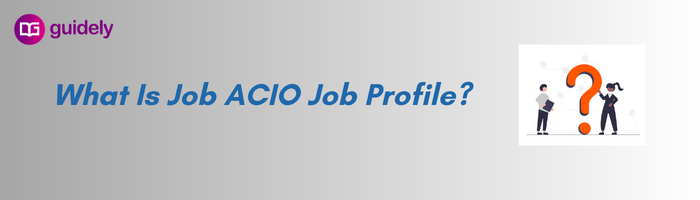 What Is IB ACIO Job Profile?