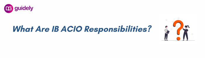 What Are IB ACIO Responsibilities?