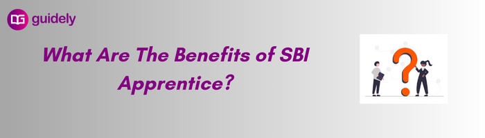 What Are The Benefits of SBI Apprentice?