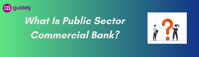 What Is Public Sector Commercial Bank?