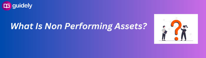 What Is Non Performing Assets?