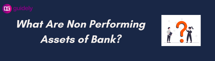 What Are Non Performing Assets of Bank?