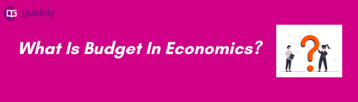 What Is Budget In Economics?