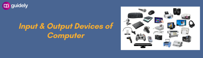 Input and Output Devices of Computer: Download PDF