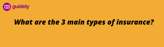 What are the 3 main types of insurance