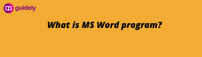 What is MS Word program