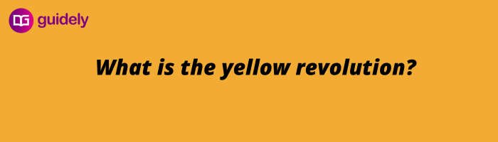 What is the yellow revolution